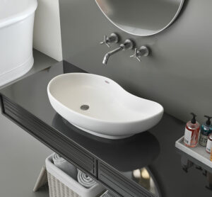 Rosa - AkijBashir Group